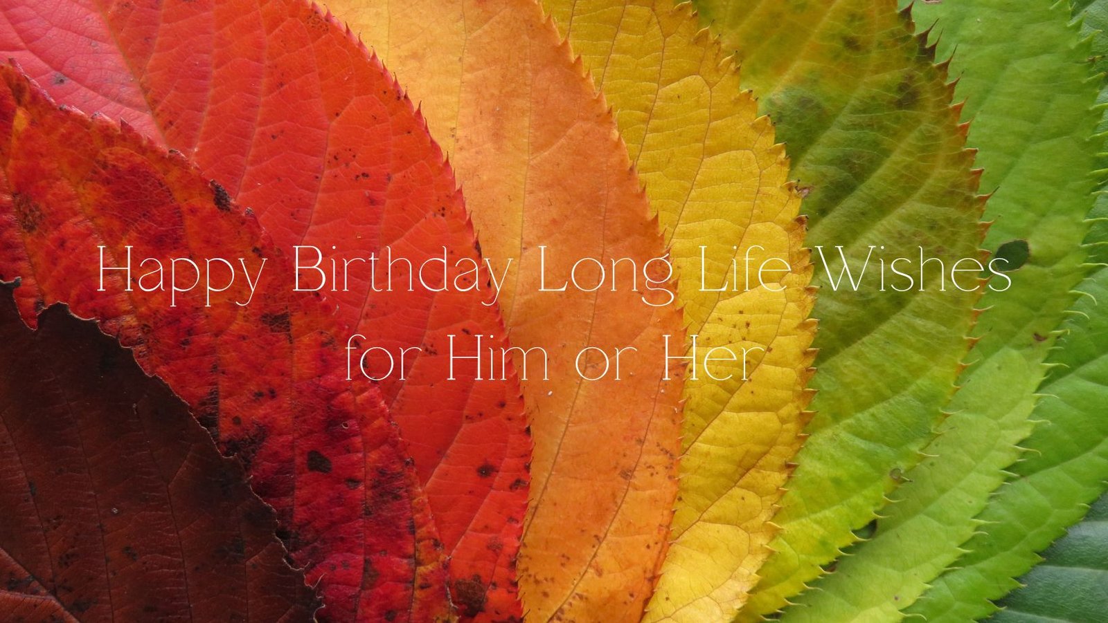 Happy Birthday Long Life Wishes For Him Or Her Wishes2Quotes
